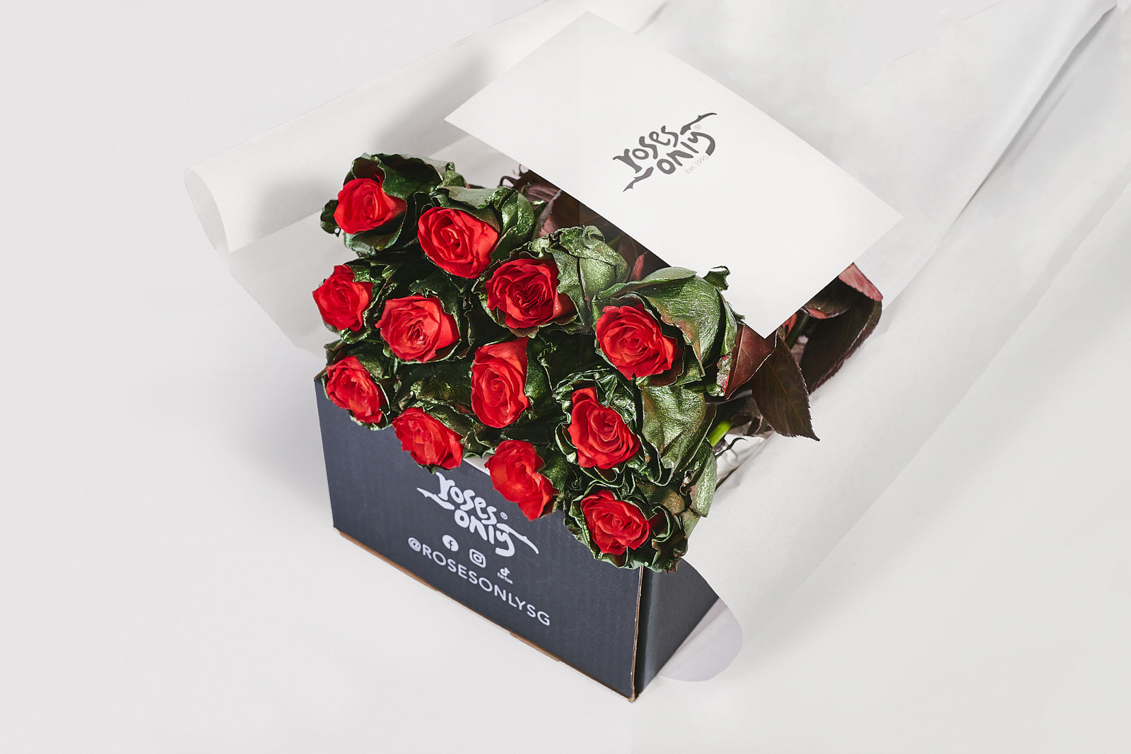 Enchanted Noel Gift Box (ROAXMH64) – Roses Only Singapore