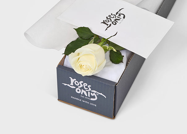 Single White Cream Rose Gift Box | Roses Only SG