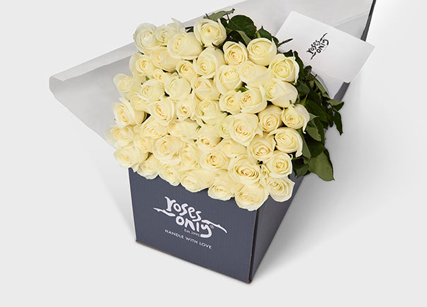 50 White Cream Roses Gift Box | Roses Only SG – Roses Only Singapore